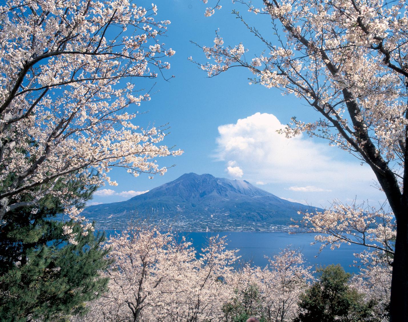Highlights | VISIT KAGOSHIMA CITY | Official Tourist Information Site