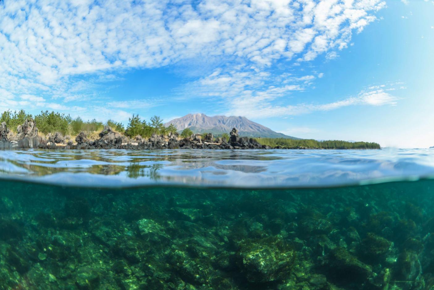 Experience | VISIT KAGOSHIMA CITY | Official Tourist Information Site